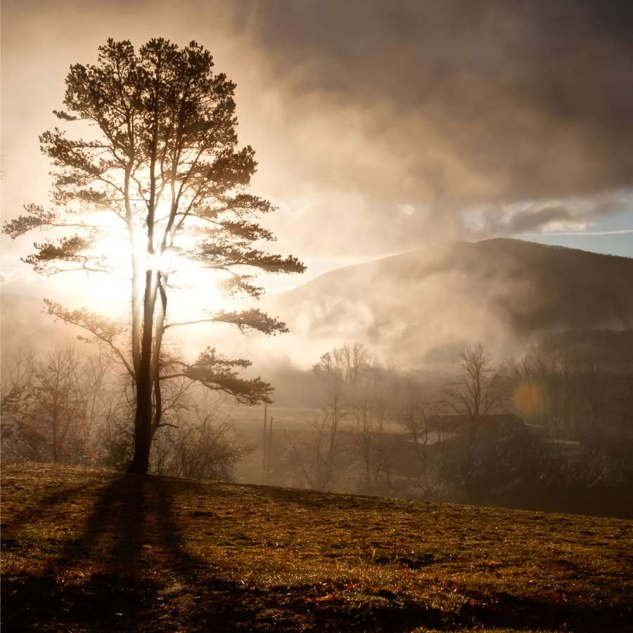 Resources – Hope Rising Counseling